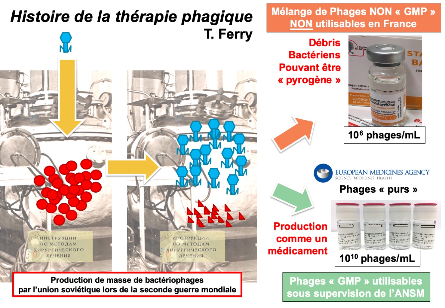 CRIOAc Lyon Phagothérapie